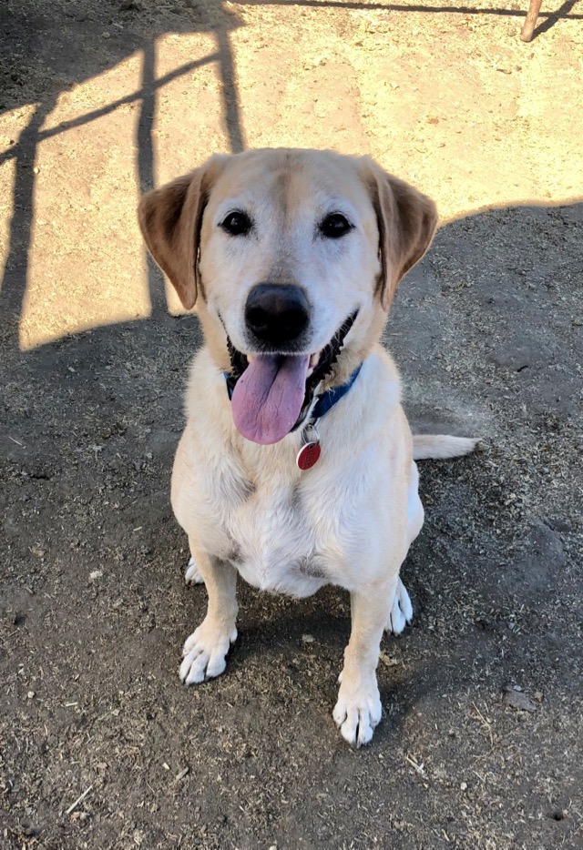 Available Labs | Monterey Bay Lab Rescue