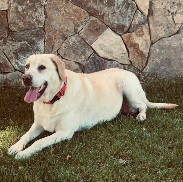 Available Labs | Monterey Bay Lab Rescue