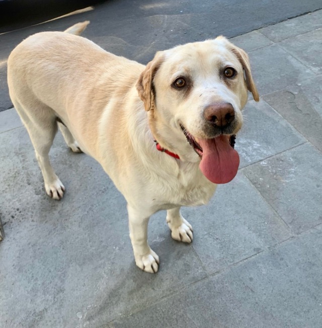 Available Labs | Monterey Bay Lab Rescue