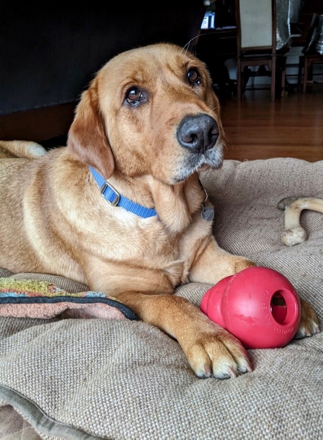 Available Labs | Monterey Bay Lab Rescue