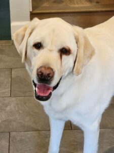 Available Labs | Monterey Bay Lab Rescue