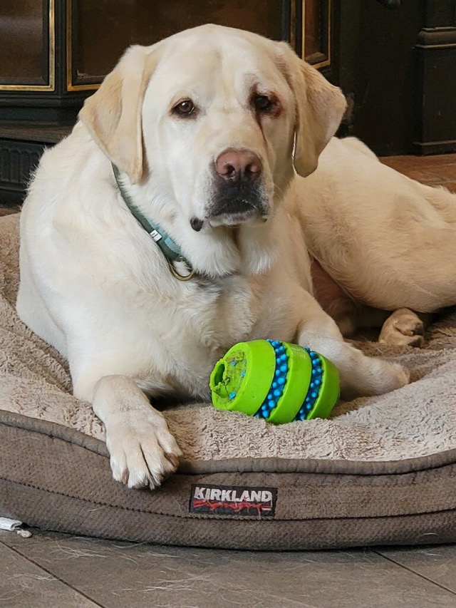 Available Labs | Monterey Bay Lab Rescue