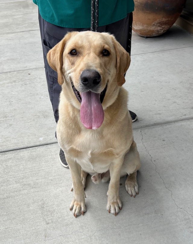 Available Labs | Monterey Bay Lab Rescue