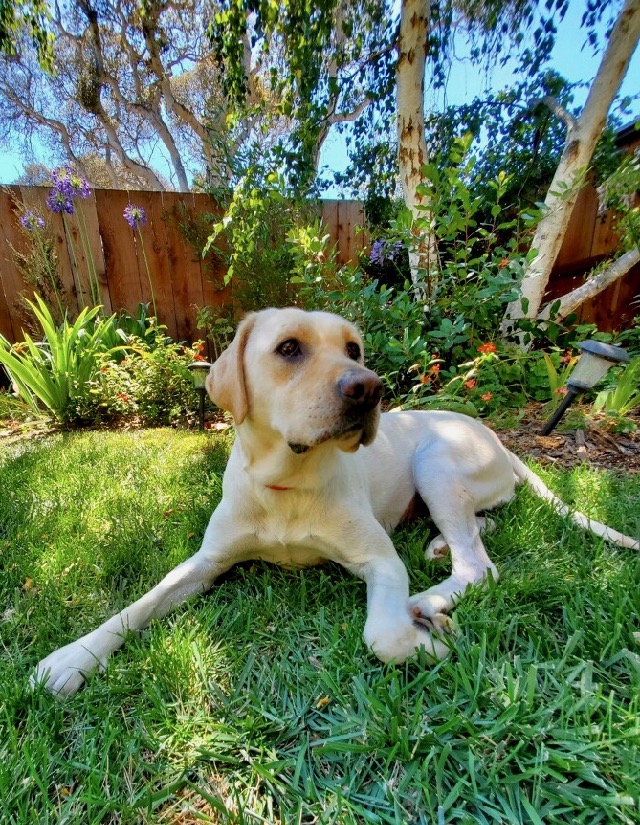 Available Labs | Monterey Bay Lab Rescue