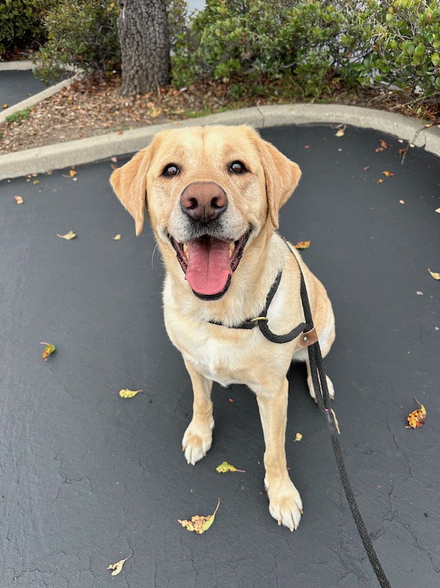 Available Labs | Monterey Bay Lab Rescue