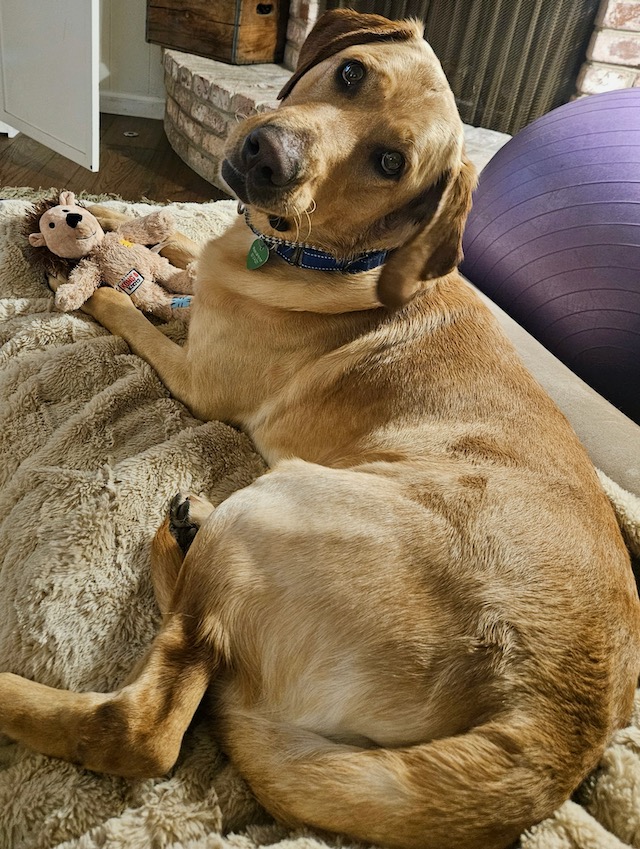 Available Labs | Monterey Bay Lab Rescue