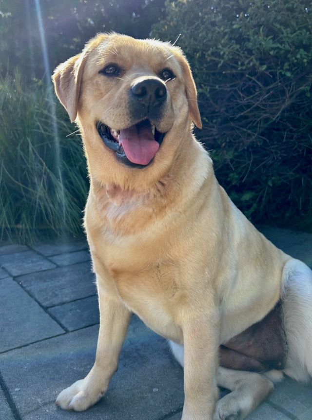 Available Labs | Monterey Bay Lab Rescue