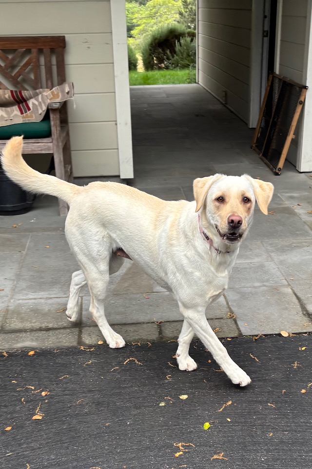 Available Labs | Monterey Bay Lab Rescue