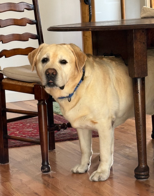 Available Labs | Monterey Bay Lab Rescue